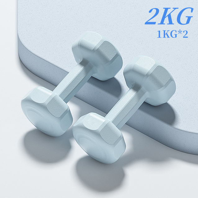 Dumbbell Set Pair 1KG to 3KG Lady Dumbbell Muscle Fitness Exercise Equipment | Shopee Philippines