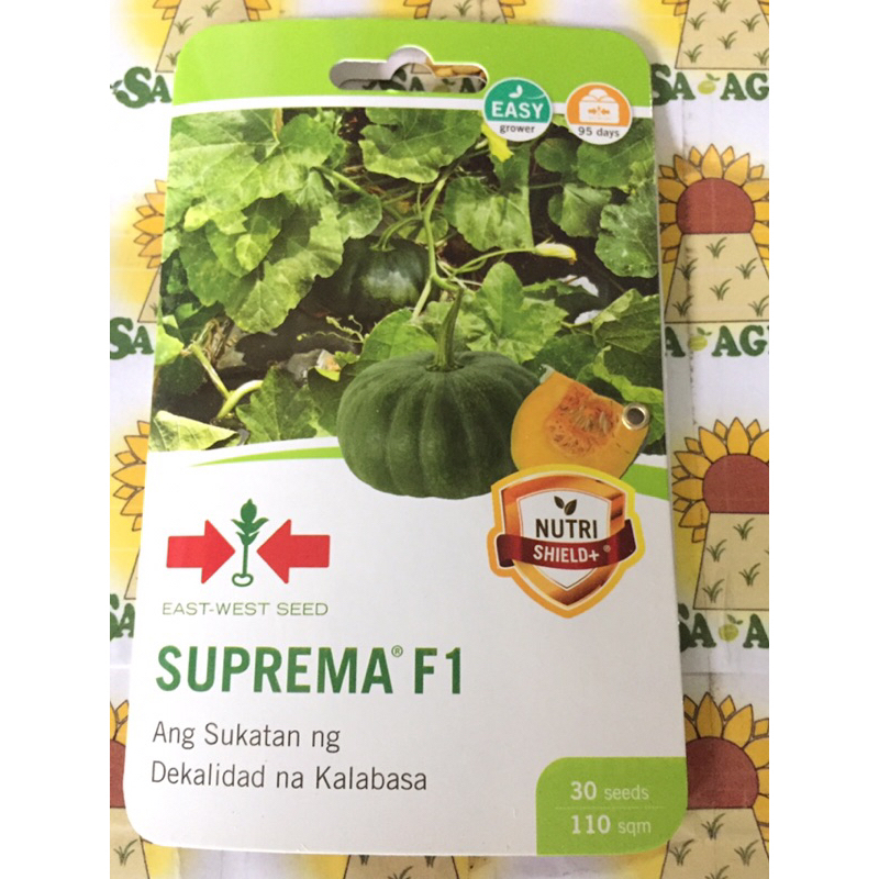 Suprema F1 Hybrid Kalabasa Seeds (10 seeds) | Shopee Philippines