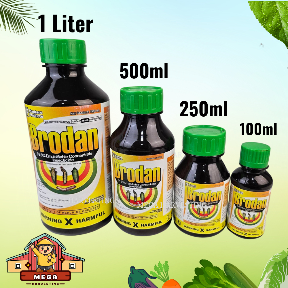 Brodan 31.5% EC INSECTICIDE FOR PESTS ON RICE CORN TOBACCO ONION LEGUME ...