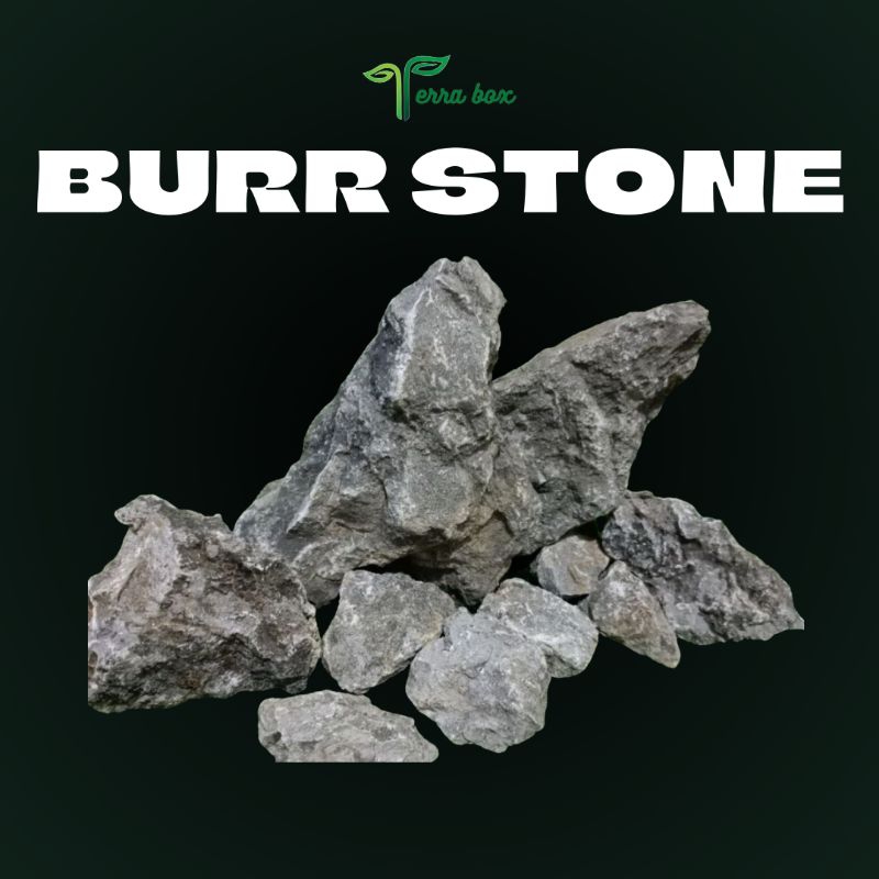 DRAGON STONE, BLACK SEIRYU STONE AND RYUOH STONE FOR AQUARIUM AND ...