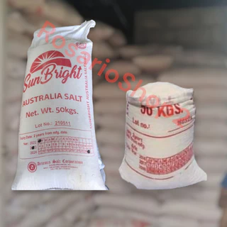 rock salt - Best Prices and Online Promos - Dec 2025 | Shopee Philippines