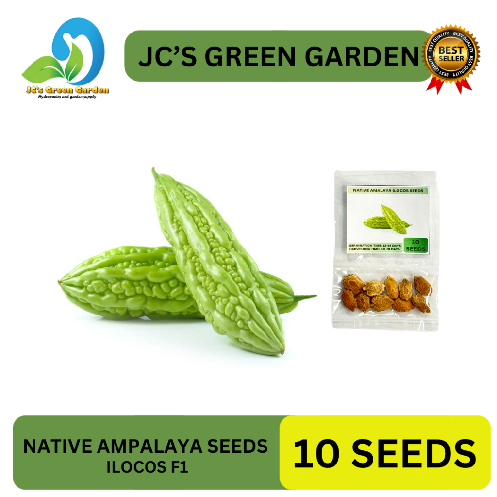 (10 SEEDS) AMPALAYA ILOCOS/NATIVE SEED/ROUND BITTERGOURD/EASY TO GROW ...