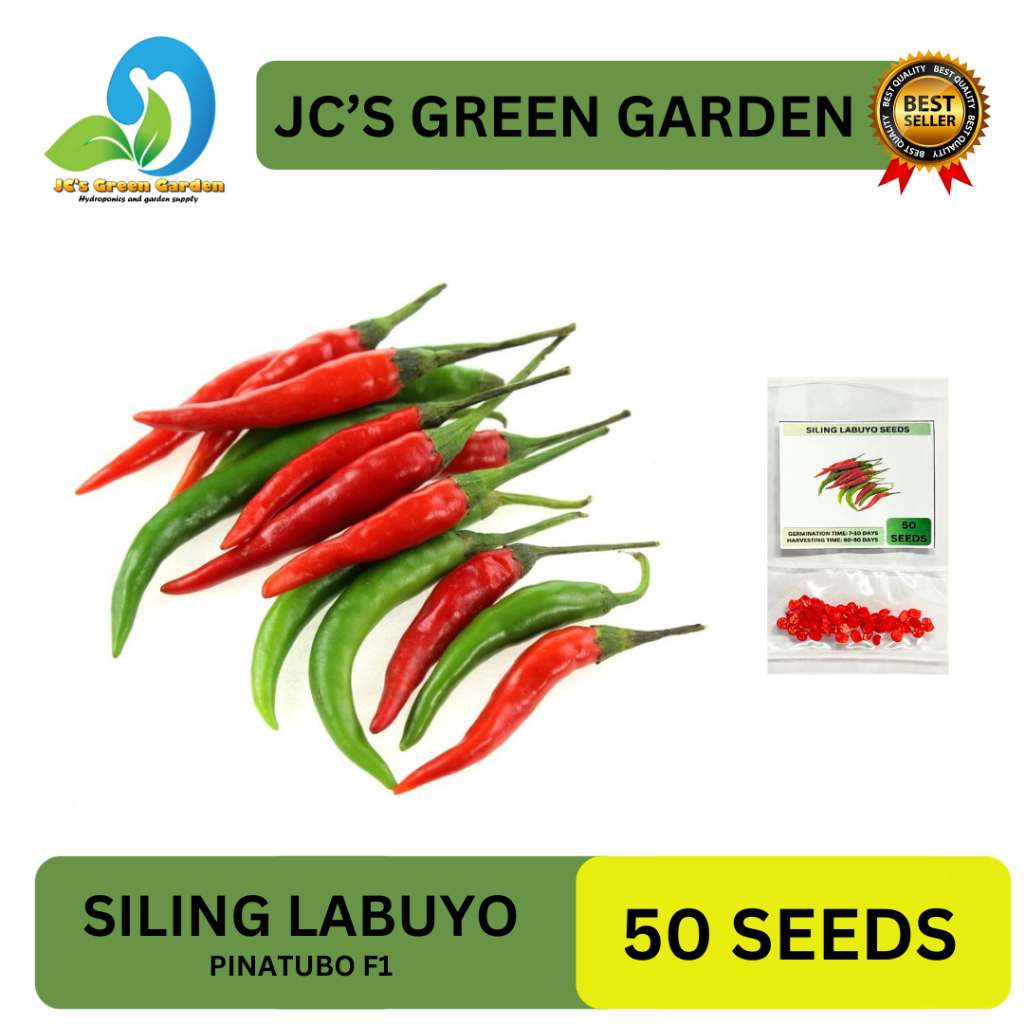 VALUE PACK (50 SEEDS) SILING LABUYO SEEDS/PINATUBO F1/FOR PLANTING/HIGH ...
