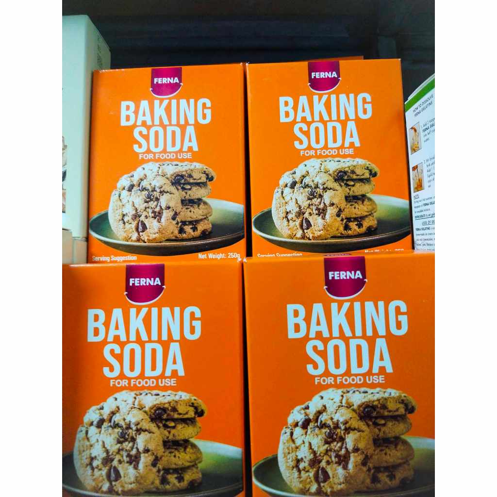 FERNA BAKING SODA 250GRAMS | Shopee Philippines