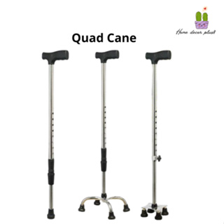 cane - Best Prices and Online Promos - Jan 2024 | Shopee Philippines