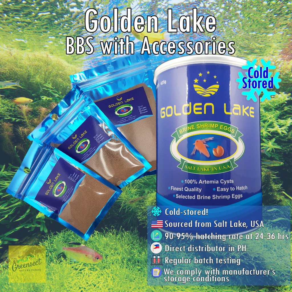 GOLDEN LAKE BBS Eggs from Salt Lake USA Baby Brine Shrimp Hatchable ...