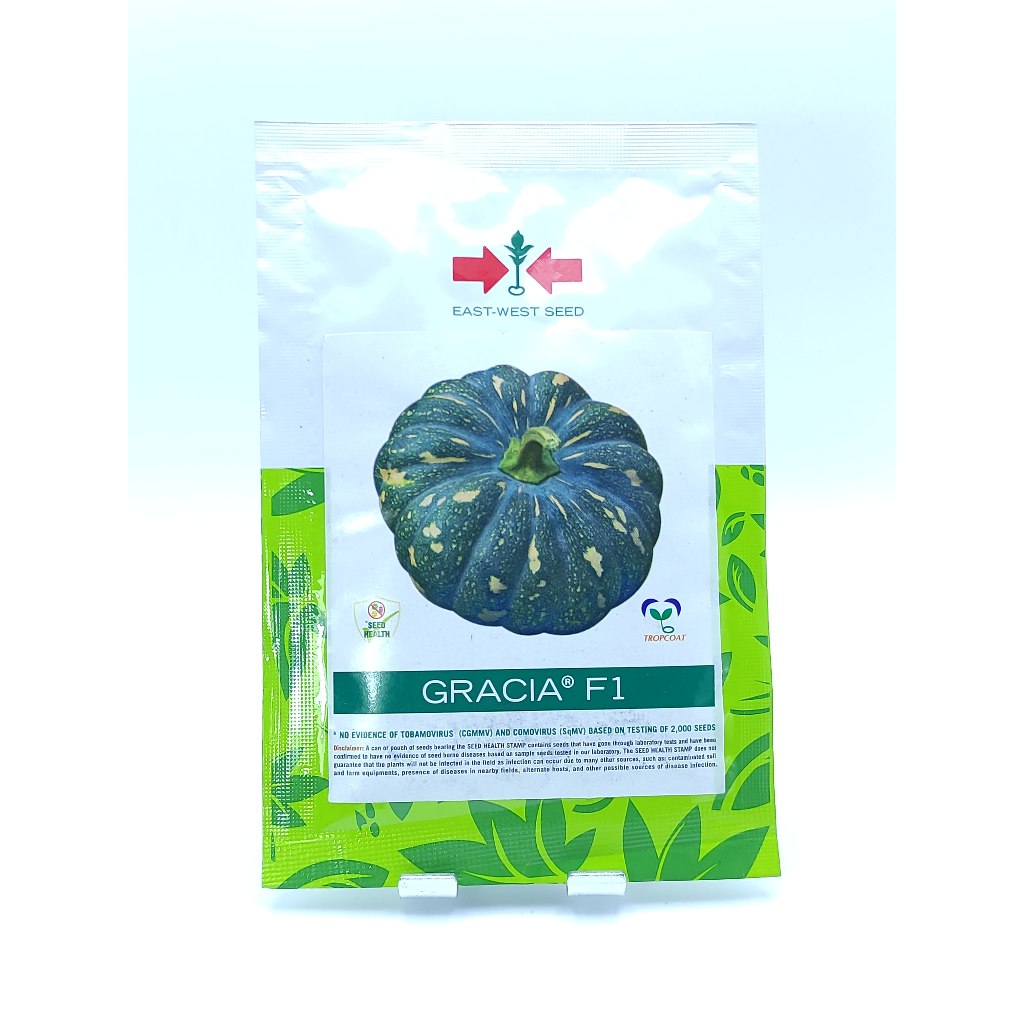 EAST-WEST SEED GRACIA F1 HYBRID PUMPKIN / KALABASA SEEDS (120 SEEDS ...