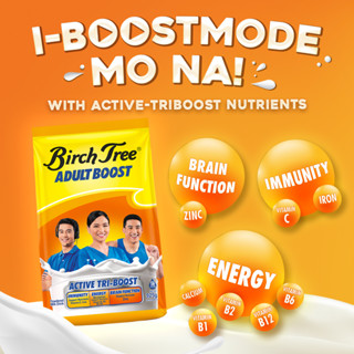 Birch Tree Fortified Adult Boost 925g Pack of 2 | Shopee Philippines