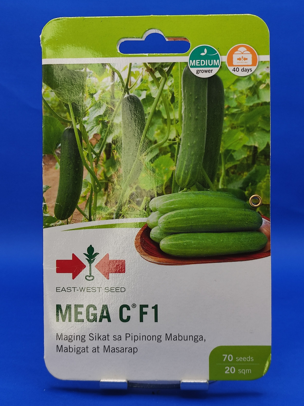 EAST-WEST SEED MEGA C F1 HYBRID CUCUMBER SEEDS ASENSO PACK (200 seeds ...