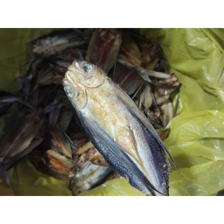 Shop dried tuyo fish for Sale on Shopee Philippines
