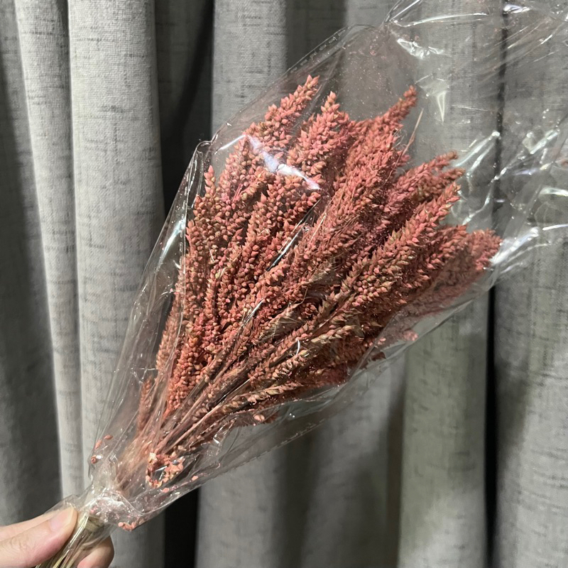 Dried Trigo Grass(LOCAL) | Shopee Philippines
