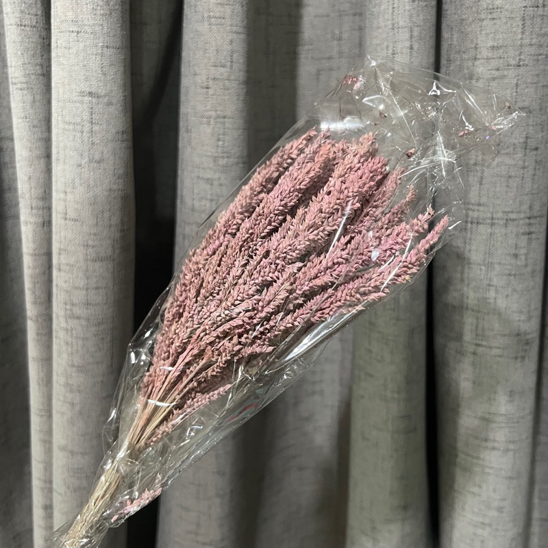 Dried Trigo Grass(LOCAL) | Shopee Philippines