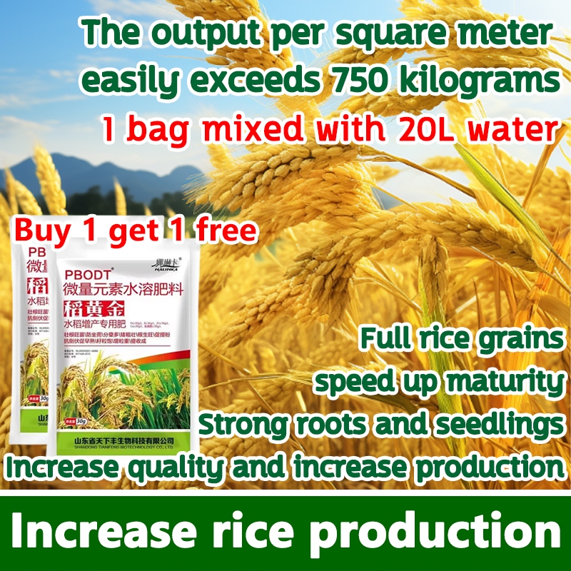 WDF rice food 30G Increase rice quality and yield | Shopee Philippines