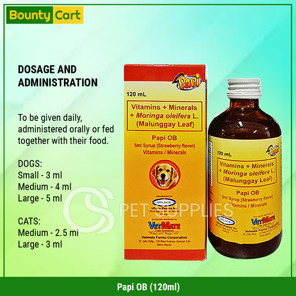 BC-Papi OB Syrup Vitamins + Minerals + Moringa oleifera L. (Malunggay ...