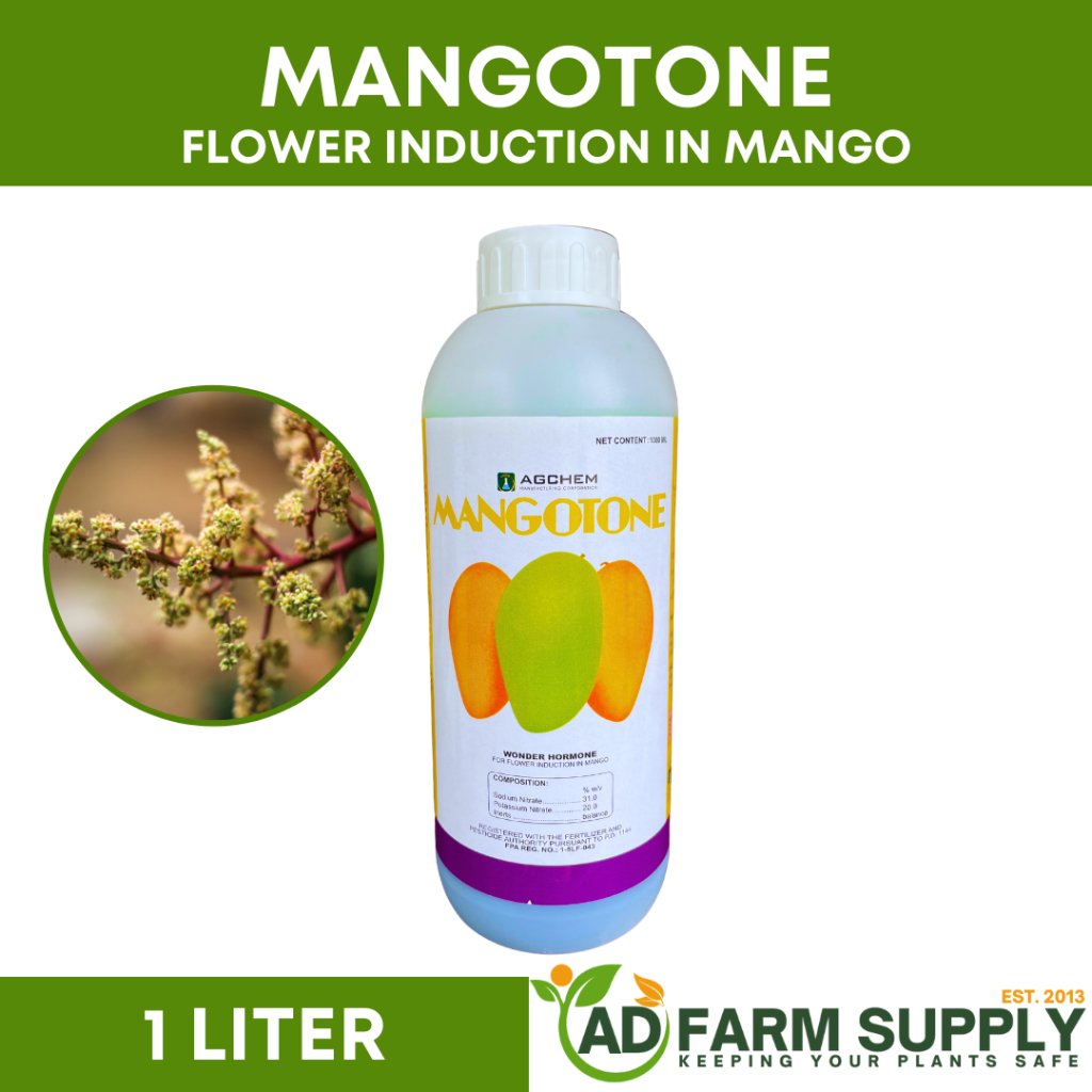 Mangotone - Mango Bloom Enhancer - 1 Liter | Shopee Philippines