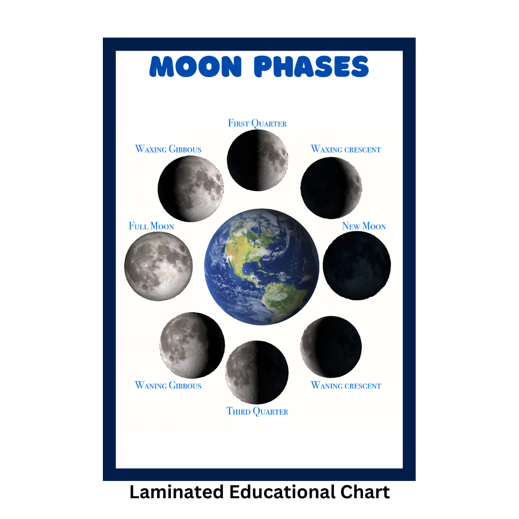Phases of the Moon, Moon Phases, Laminated Charts for Kids, Students ...