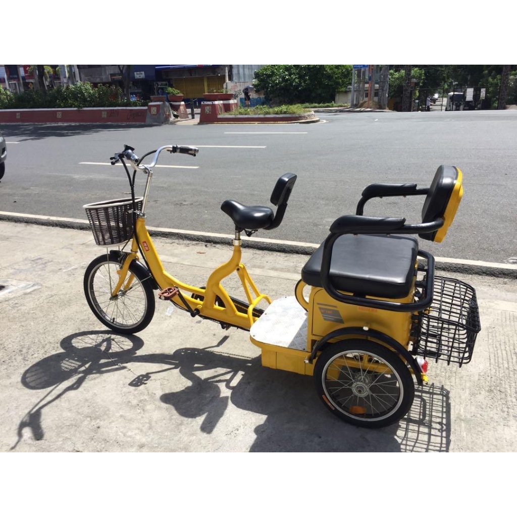 RFM Electric Bike ebikes ebike etrike ecobike ebicycle 3wheel | Shopee ...