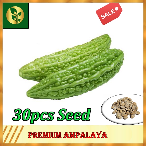 Ampalaya Seeds | Bitter Gourd Seeds | Vegetable seeds | Golden Plant ...