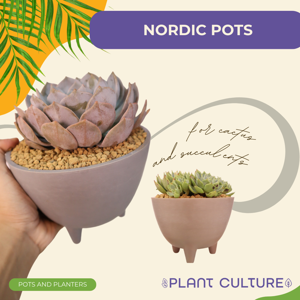Nordic Minimalist Footed Melamine Planter | Plastic Pots | Shopee ...