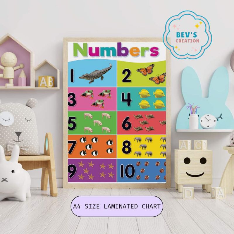 A4 LAMINATED EDUCATIONAL WALL CHARTS | Shopee Philippines