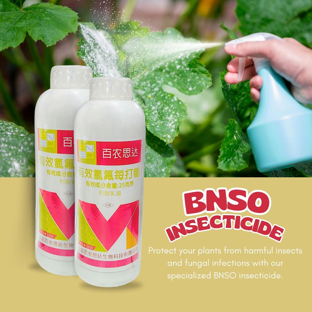 BNSO PANGTANGGAL NG IBAT IBANG URI NG INSEKTO 1000ml | Shopee Philippines