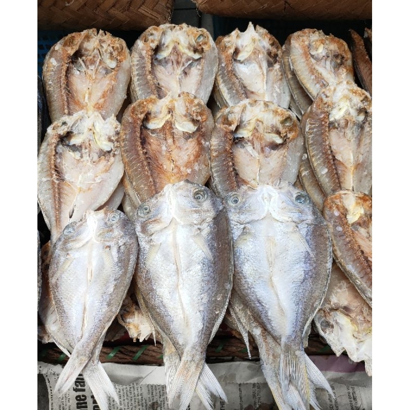 Dried Daing na Bisugo (250g) | Shopee Philippines