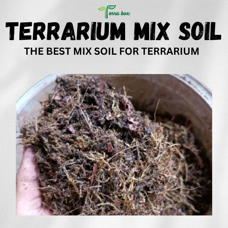 Terra Box Terrarium Soil | Shopee Philippines