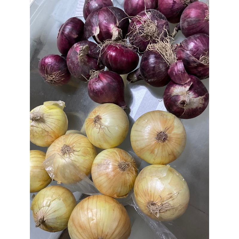 Sibuyas Puti Pula Onion White Red 1 kg | Shopee Philippines