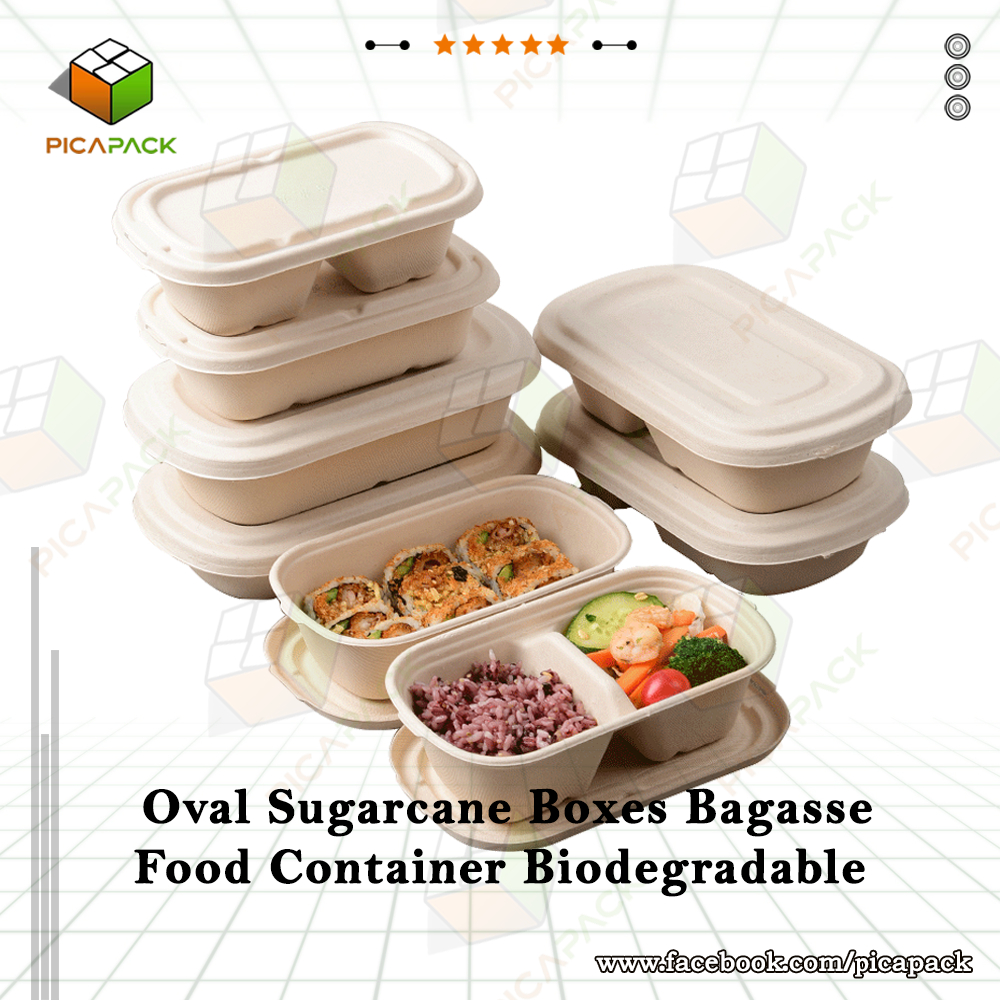 10 Pcs Oval Sugarcane Box Bagasse Food Biodegradable Eco-Friendly Container Paper lid ...