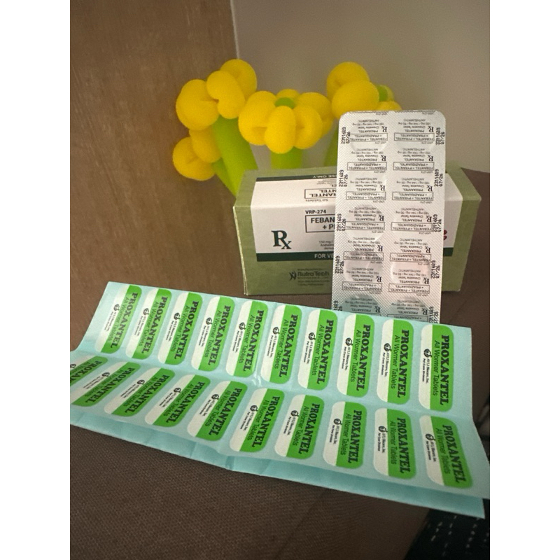 Proxantel Dewormer with Sticker Tablet For Dog abd Cats(Sold per piece ...