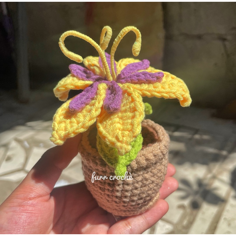 Crochet Sundrop Lily of Rapunzel in a pot | Shopee Philippines