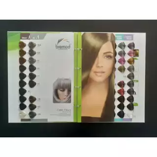 Shop bremod hair color chart for Sale on Shopee Philippines