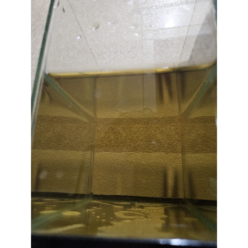 Pure Talisay Extract Indian Almond Leaf Enhancement Water Enhancer 1L ...