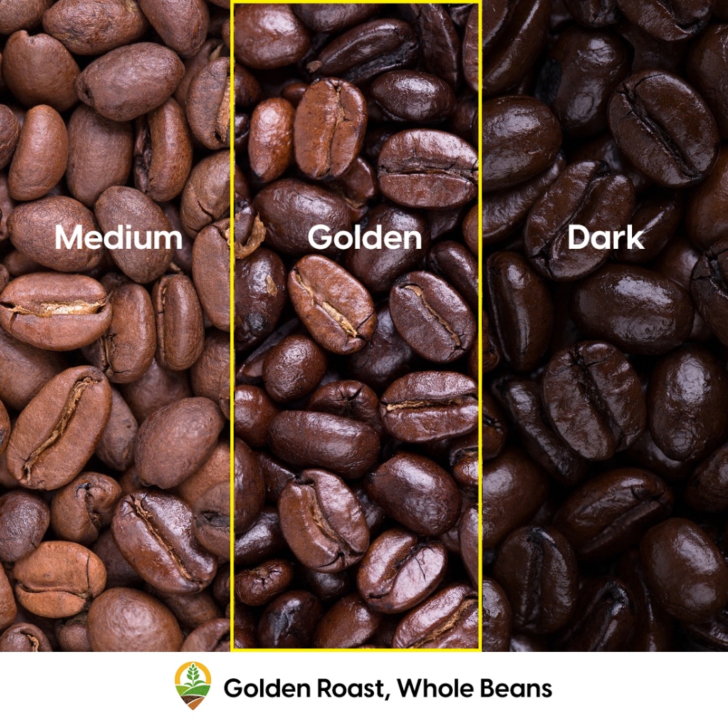 [CG] Benguet Arabica Coffee Beans or Ground (1KG / 500G / 250G / 100G ...