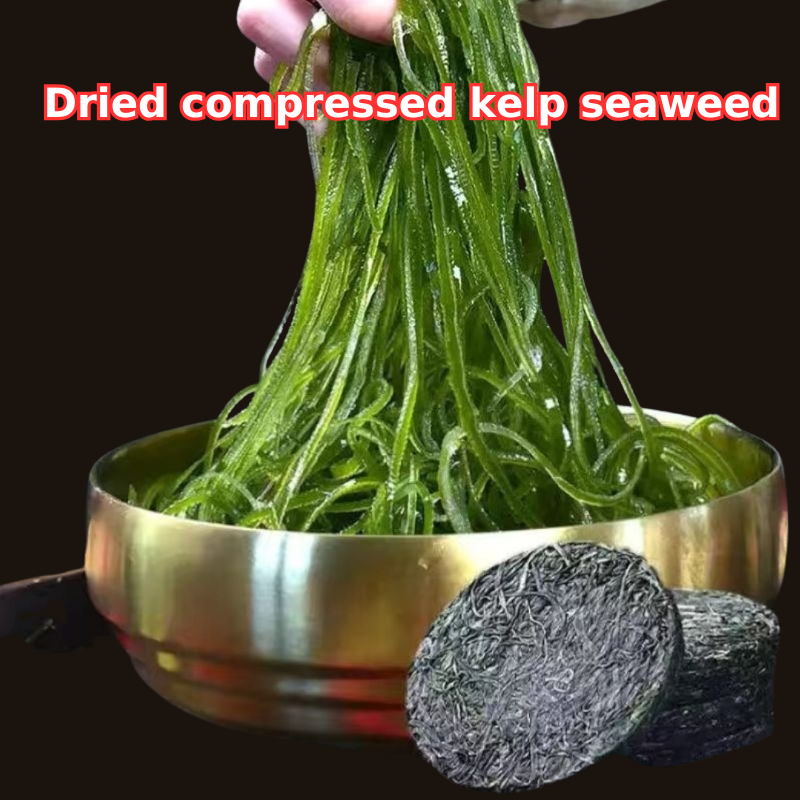 Dried compressed kelp seaweed instant vegetables high foam hair sea ...