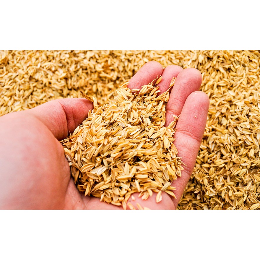 10 PESOS 1/2 Pure Rice Hull/Ipa/Rice Hull - Ready to Use for Indoor ...