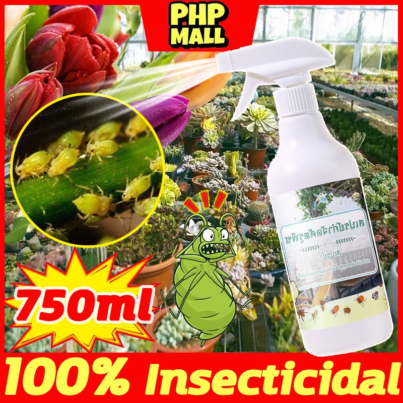 Plant organic insecticide 750ml for vegetables pesticides Not Harm ...