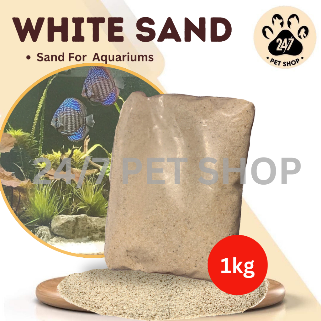 Shop fine sand for Sale on Shopee Philippines