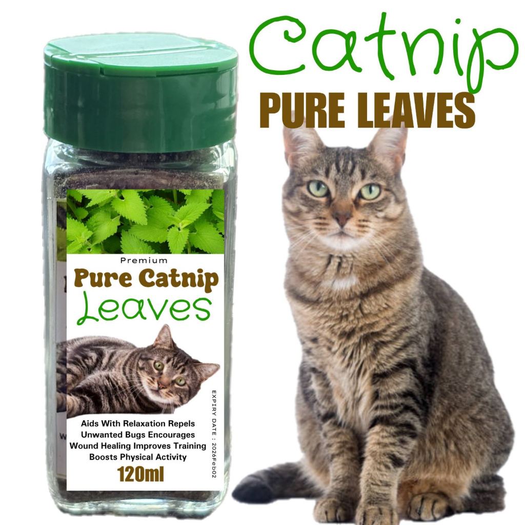 120ml (20g) CATNIP NATURAL CATMINT HERBS SPRINKLE POWDER FOR CAT | Shopee Philippines