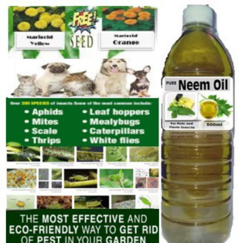 Pure neem oil for all kinds of animals insect 1liter | Shopee Philippines