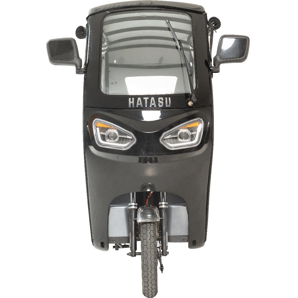 HATASU HERO Three-Wheeler EBike with 48V 32AH Rechargable Battery ...