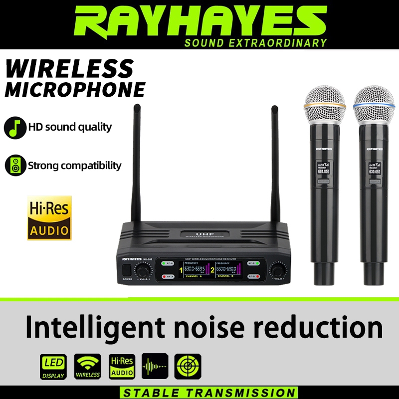 RAYHAYES Professional Wireless Microphone System For Home Entertainment ...