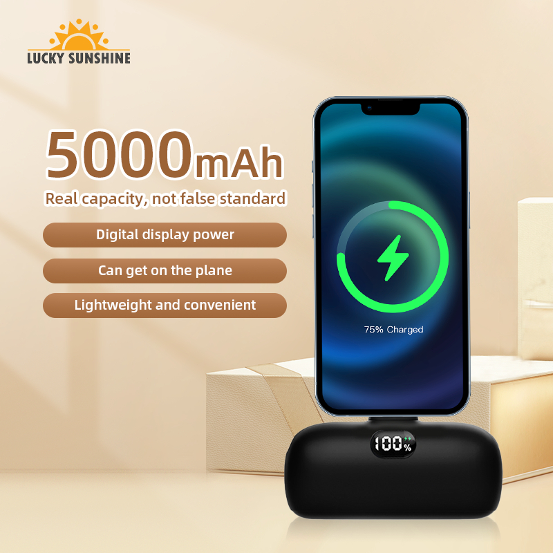 2in1 PowerBank 5000mAh Mini Power Bank Type-c/iph Fast Charging ...