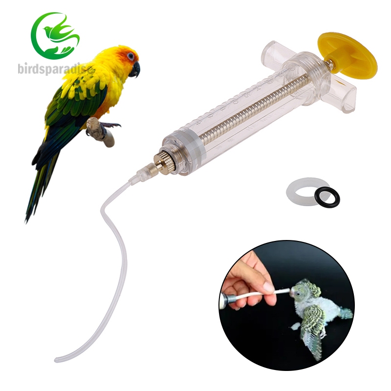 Hand feednig syringe bird Parrot feeder Young bird handfeeding syringe ...