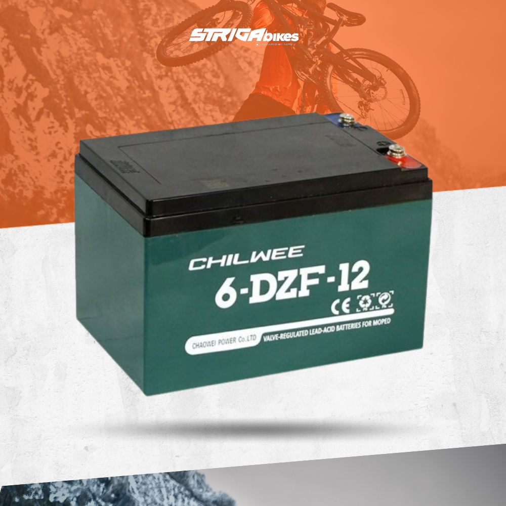 Chilwee Battery 48V12Ah | Shopee Philippines