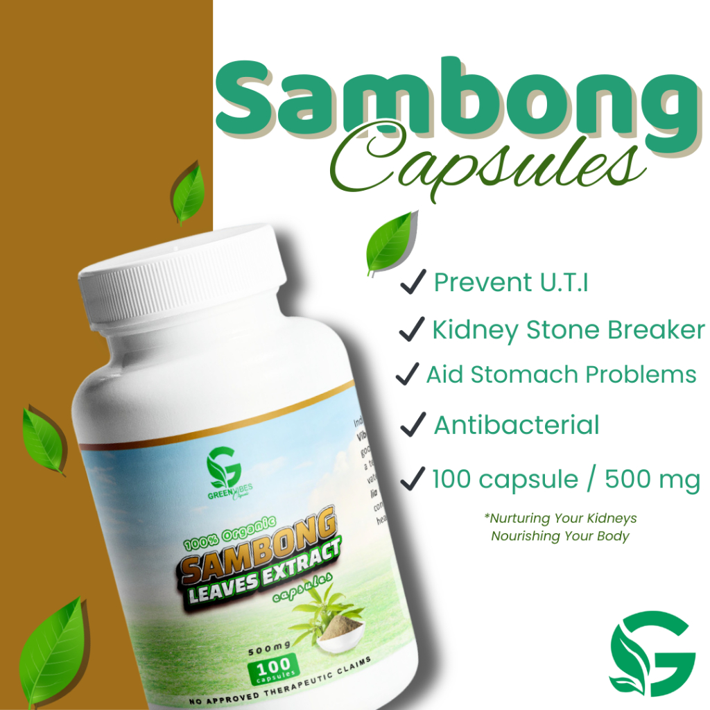 Sambong Capsule for UTI Support, Healthy Gall Bladder, Kidney Cleanse ...