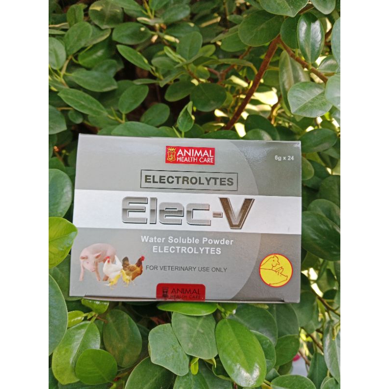 BMEG ELEC V PER BOX SOLD FOR ANIMALS | Shopee Philippines