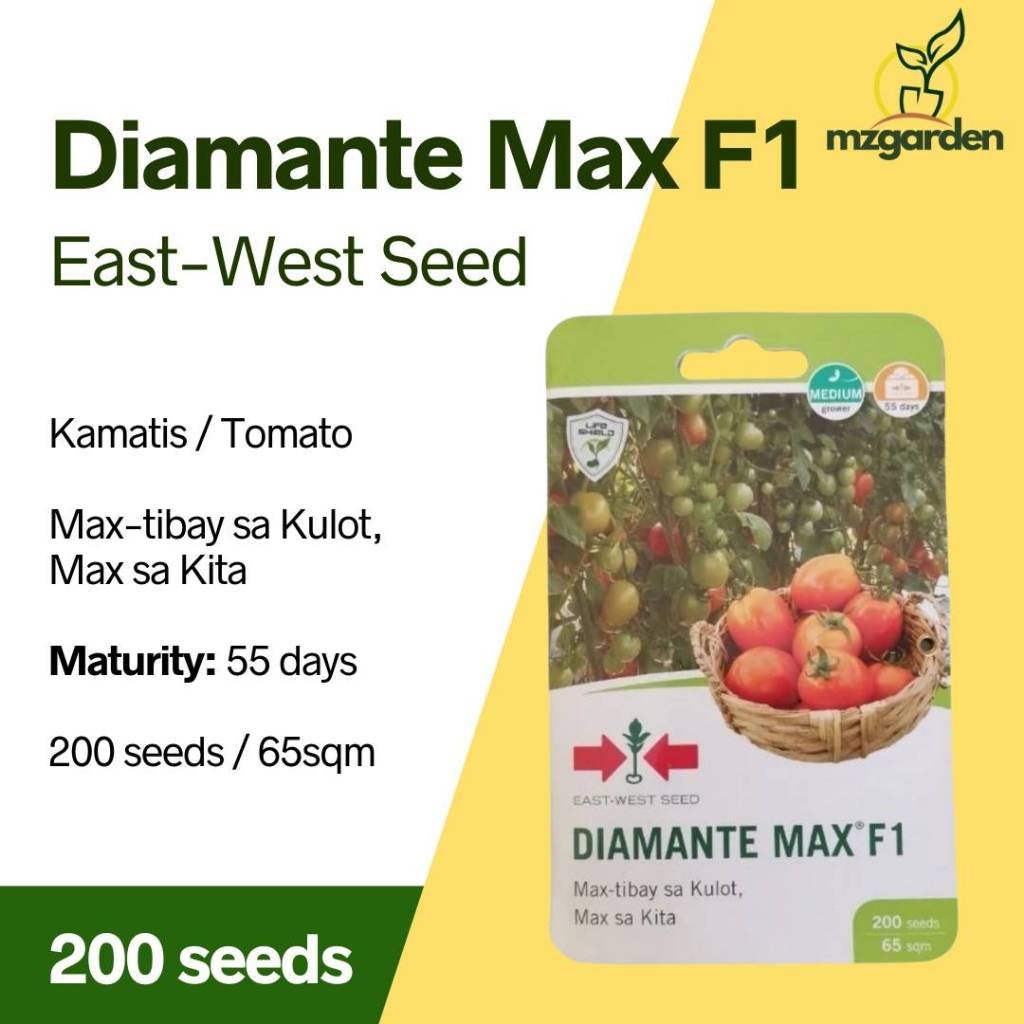 East-West Seed Diamante Max F1 (Kamatis/Tomato) 200 seeds | Shopee ...