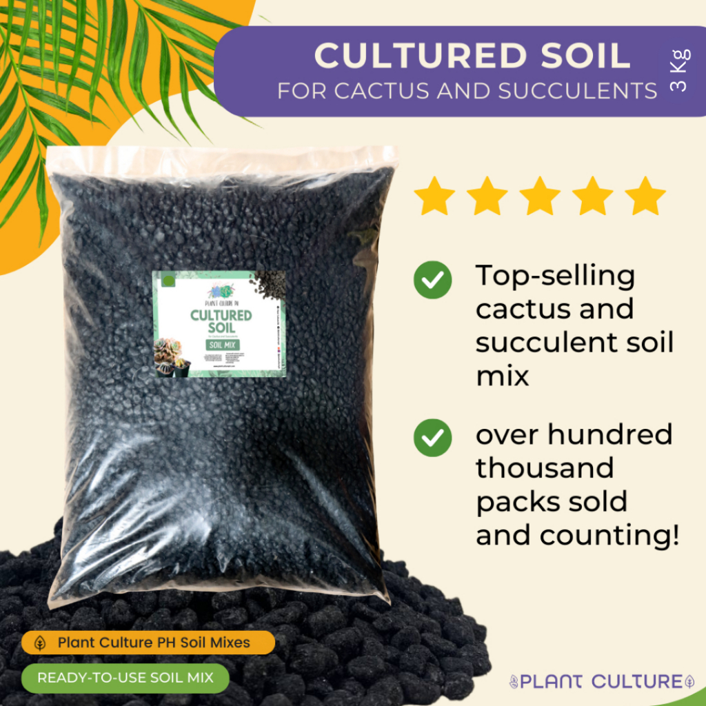 Cultured Soil CnS 3Kg | Cactus and Succulent by Plant Culture PH ...