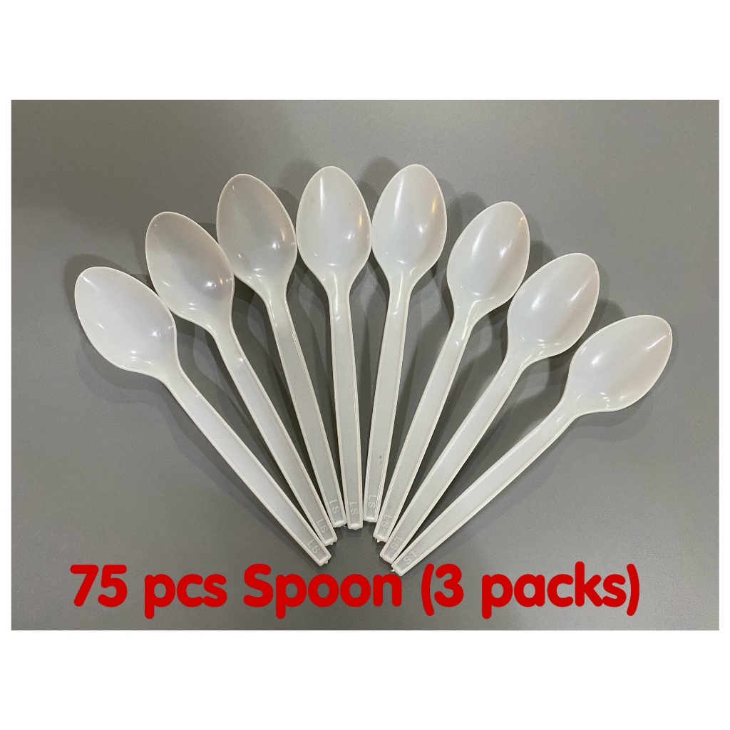 75 pcs | Paper Plates with Disposable Spoon and Fork | Party Supplies ...